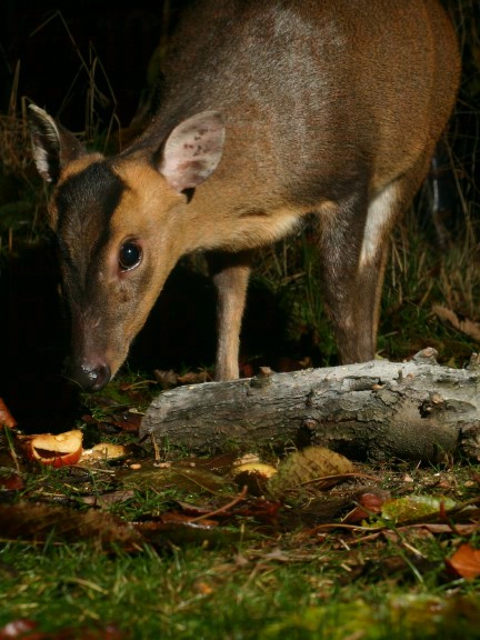 Archived & Upcoming Images of the Day