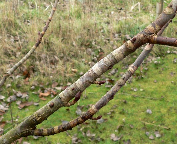 Archived & Upcoming Images of the Day