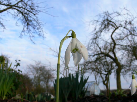 Archived & Upcoming Images of the Day