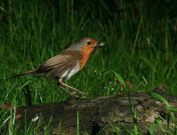 Archived & Upcoming Images of the Day