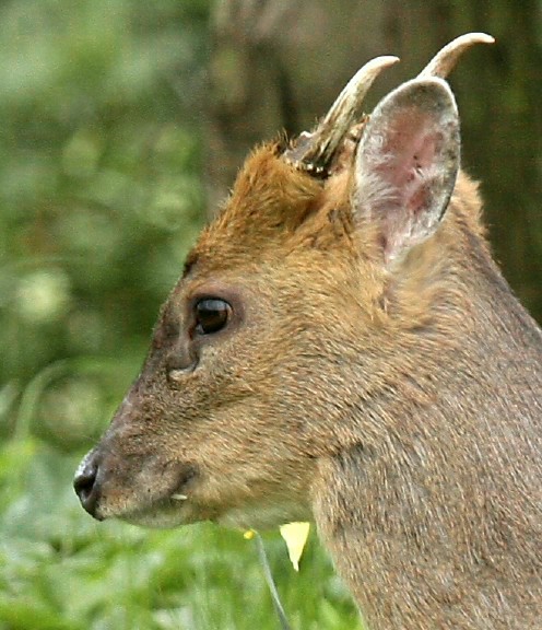 Archived & Upcoming Images of the Day