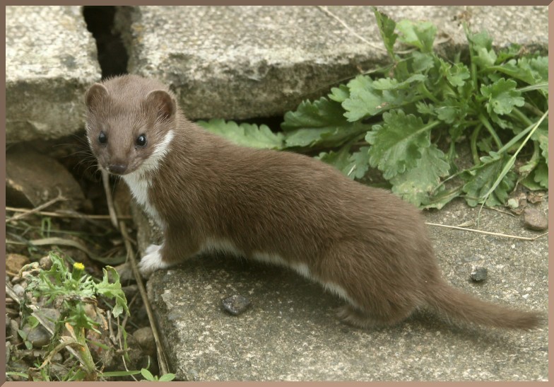 Archived & Upcoming Images of the Day