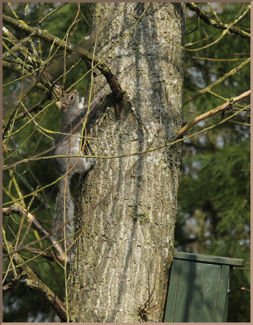 Image-of-the-Day by Subject