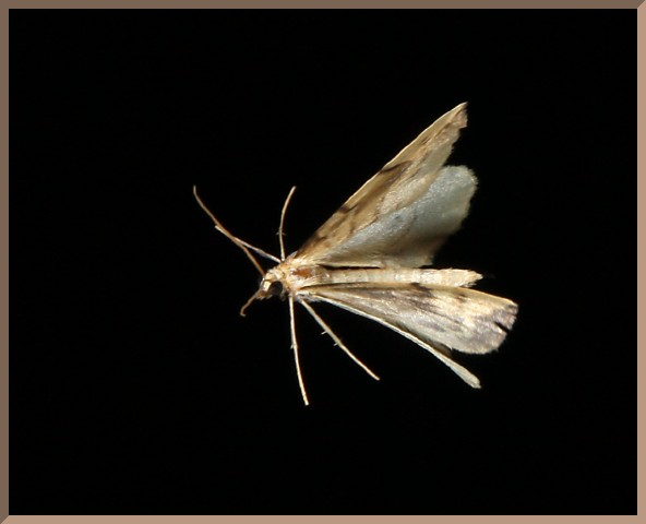 Image-of-the-Day by Subject