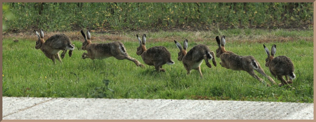 Archived & Upcoming Images of the Day