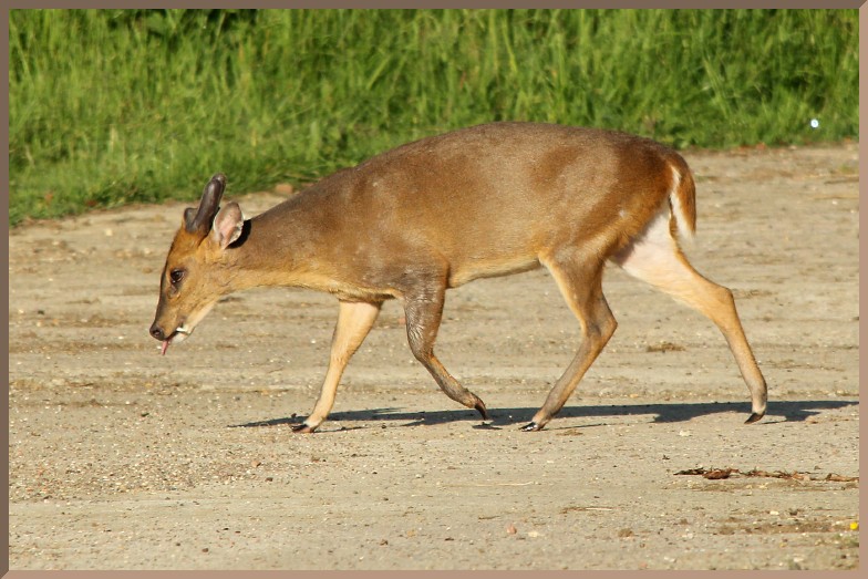 Archived & Upcoming Images of the Day