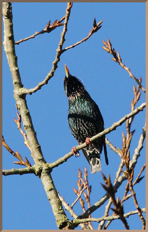 Archived & Upcoming Images of the Day