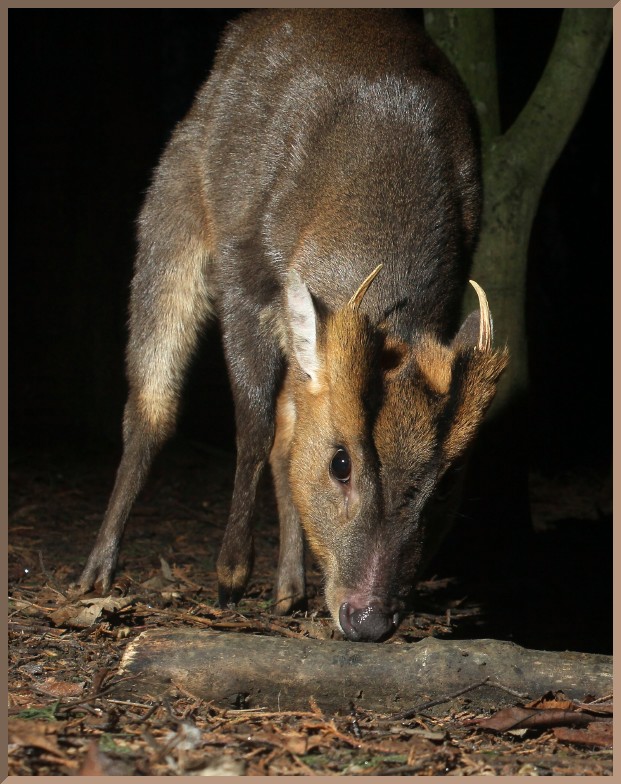 Archived & Upcoming Images of the Day