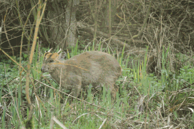 Archived & Upcoming Images of the Day