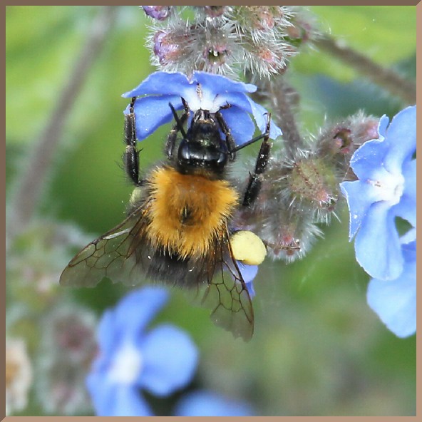 Image-of-the-Day by Subject