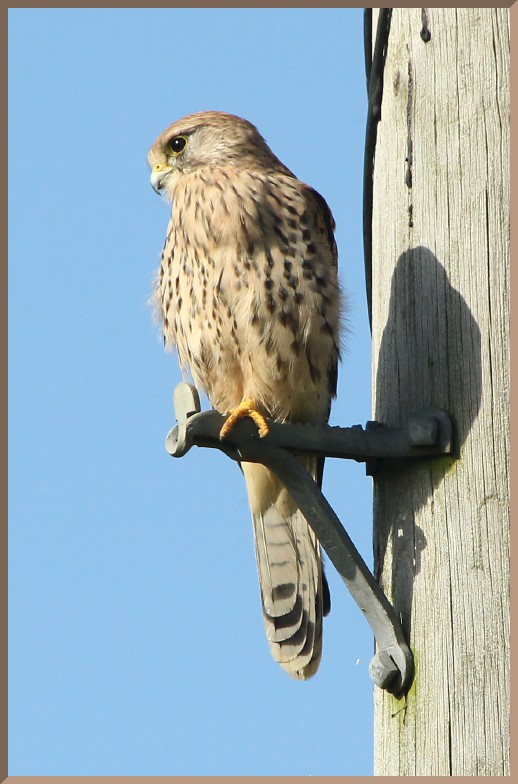 Archived & Upcoming Images of the Day